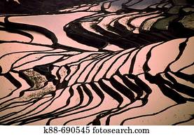 China, Yunnan province, Hani people, Yuanyang, Azheke village, rice ...