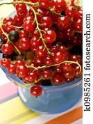 Still life of big red Christmas bow. Stock Image | u10047983 | Fotosearch