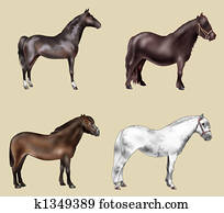 Four horses in a stable Stock Image | is816-032 | Fotosearch