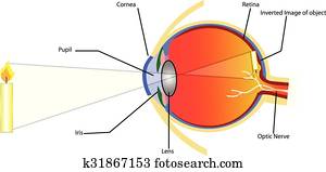 Cross reflected in an eye Stock Photo | 1776019 | Fotosearch