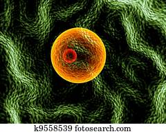 Micro cells Stock Photograph | k6172986 | Fotosearch