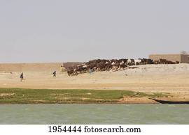Village along the shores of the Niger River between Mopti and Lake Debo ...