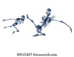 Pictures of Skeletons : fight f0015498 - Search Stock Photos, Images ...