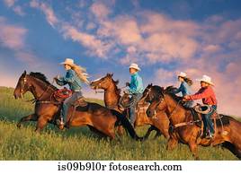 Four horses in a stable Stock Image | is816-032 | Fotosearch