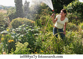 Man spraying woman with garden hose Stock Photo | u11877748 | Fotosearch