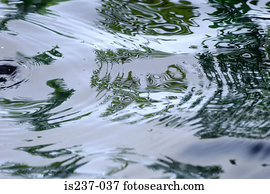 Ripples on pond Stock Photo | is237-038 | Fotosearch