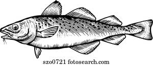 A black and white drawing of a shrimp Drawing | szo0743 | Fotosearch