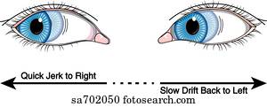 Pair of eyes looking to right. Clip Art | sa702051 | Fotosearch