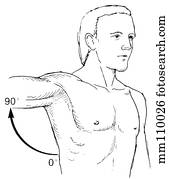 ROM Shoulder Rotation Stock Illustration | rshoulr | Fotosearch