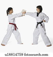 Female karate instructor teaching martial arts to a young woman Stock ...