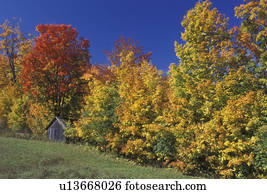 farm, fall, Tunbridge, VT, Vermont, Howe Farm surrounded by colorful ...