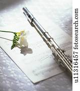Flute and flower Stock Photography | u19623145 | Fotosearch