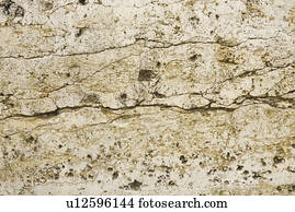 Detail, geology, metamorphic, rock, mottled, rough Picture | u10377134 ...